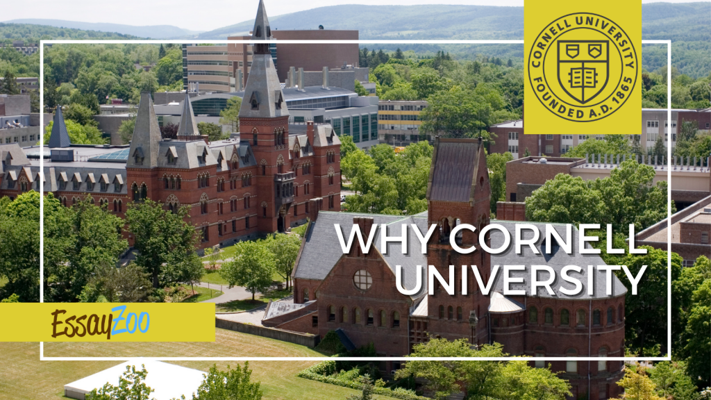 How to Write a Winning "Why UChicago" Essay + Example